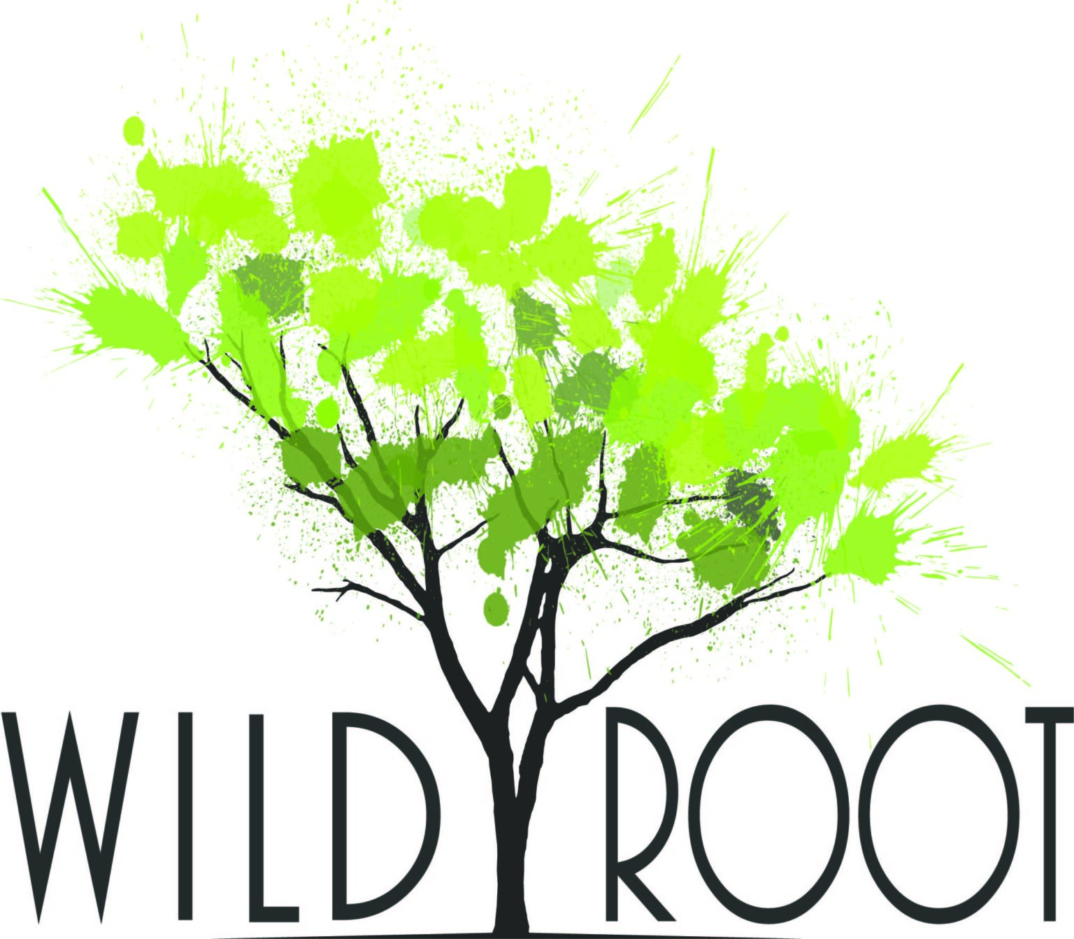 Wild Root Café – Boise’s Seasonal and modern Restaurant